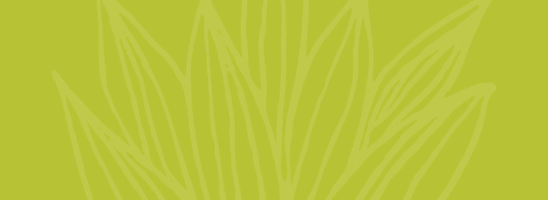 Contact US - Choate USA