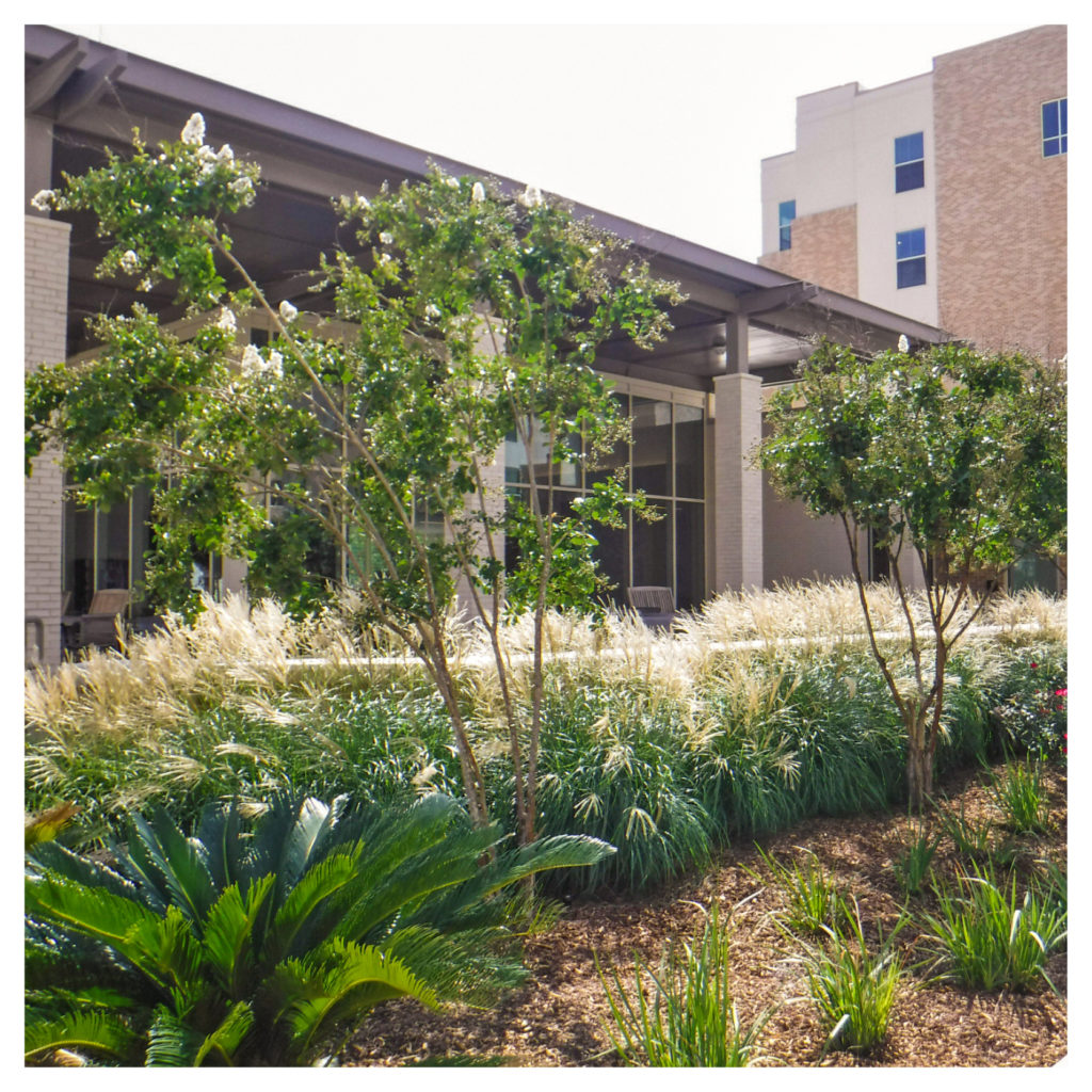 Education & Student Housing – Choate USA
